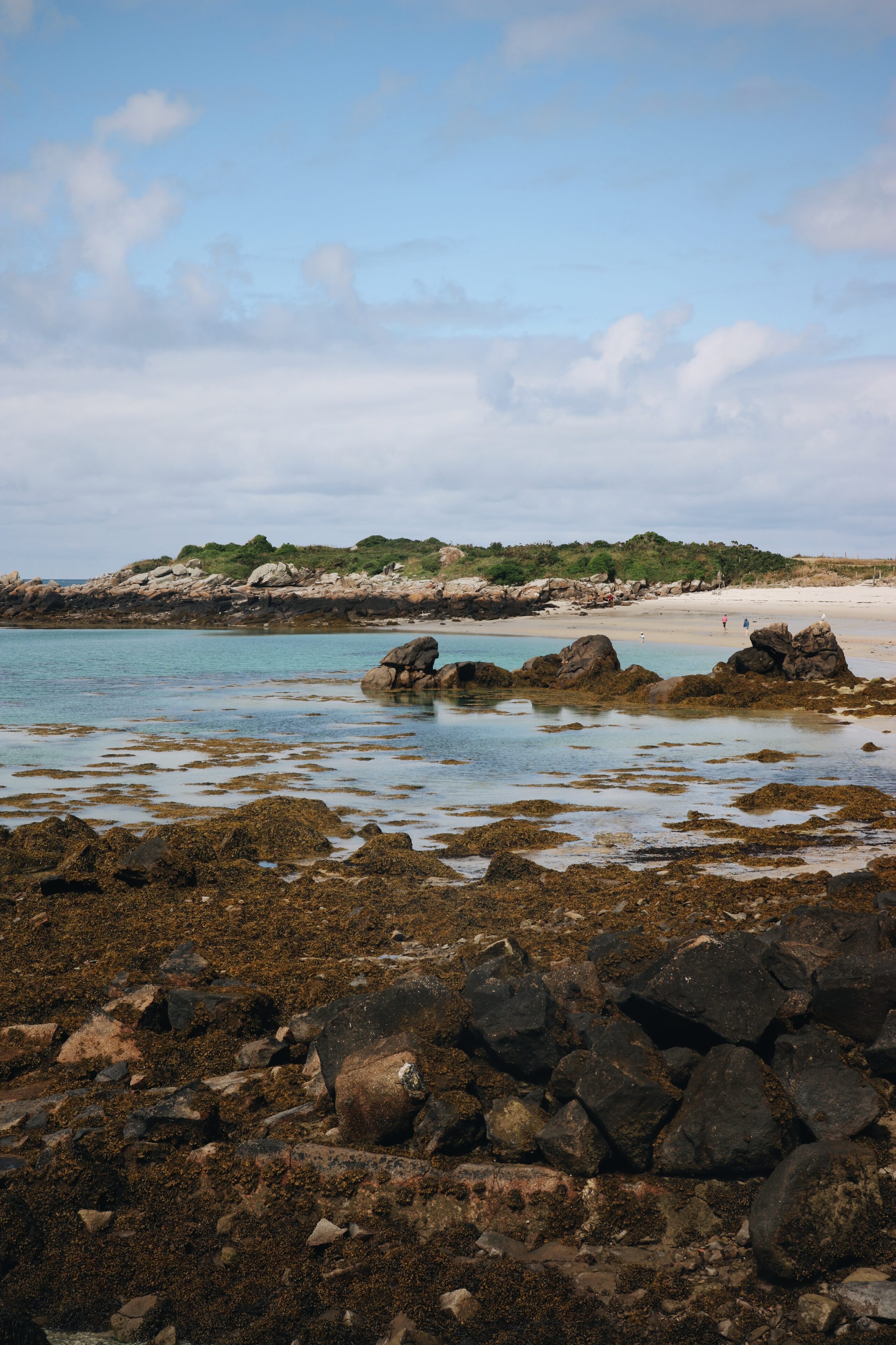 Guide pratique des Îles Chausey en famille - Aventure et Nature